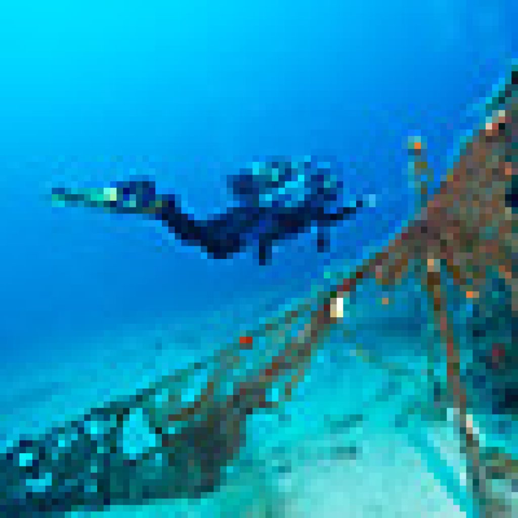 Tauchen Insel Elba Diving Spiro Sub - Dive Center