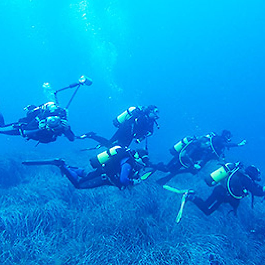 Spiro Sub Diving Center | Elba | PADI Dive Center